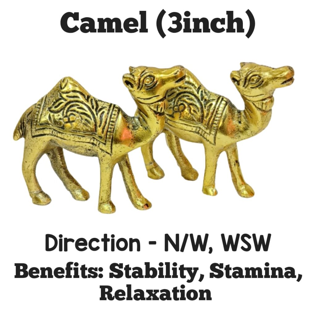 Brass Camel Pair For Vastu And Fengshui ( 3 Inch ) | Devotional Kart
